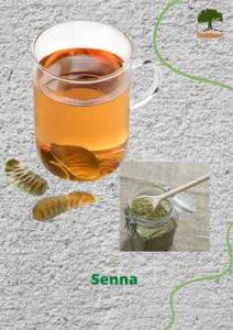 SENNA – Health Food Store Dubbo & Ayurvedic Clinic | Practitioner ...